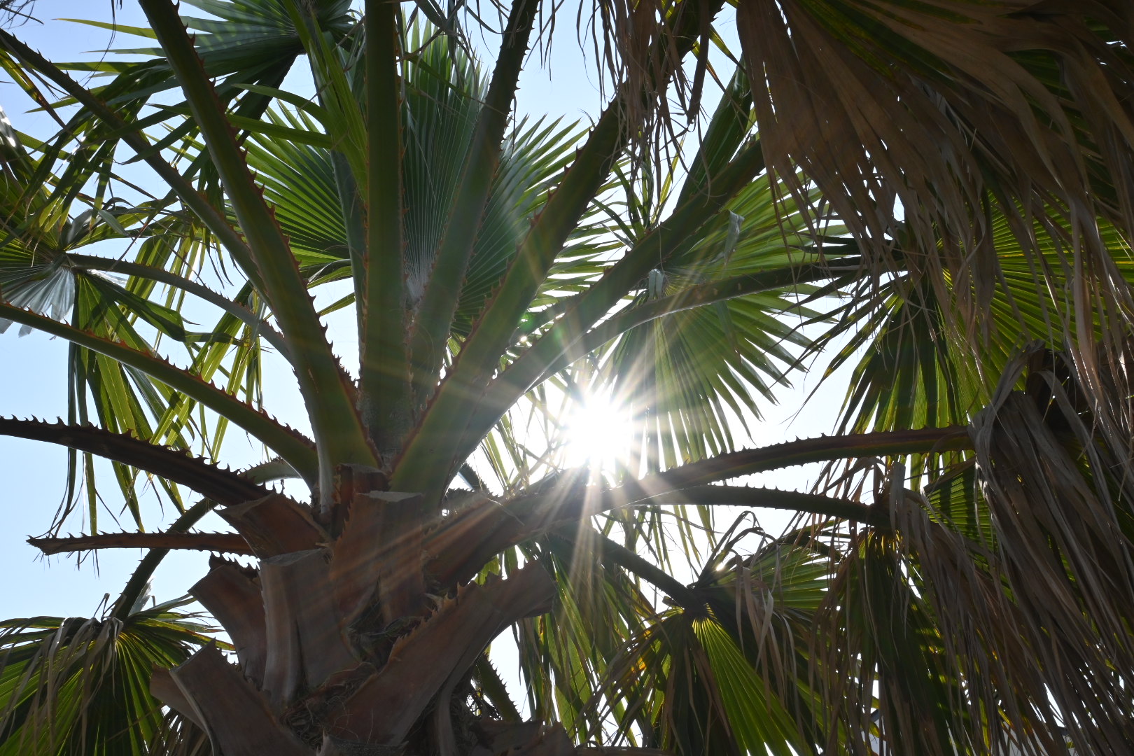 【宮崎県】青島のAoshima Beach villageで海を眺めながら寛ぐひとときには癒されます。 - 世界の癒し・楽園空間を巡る旅